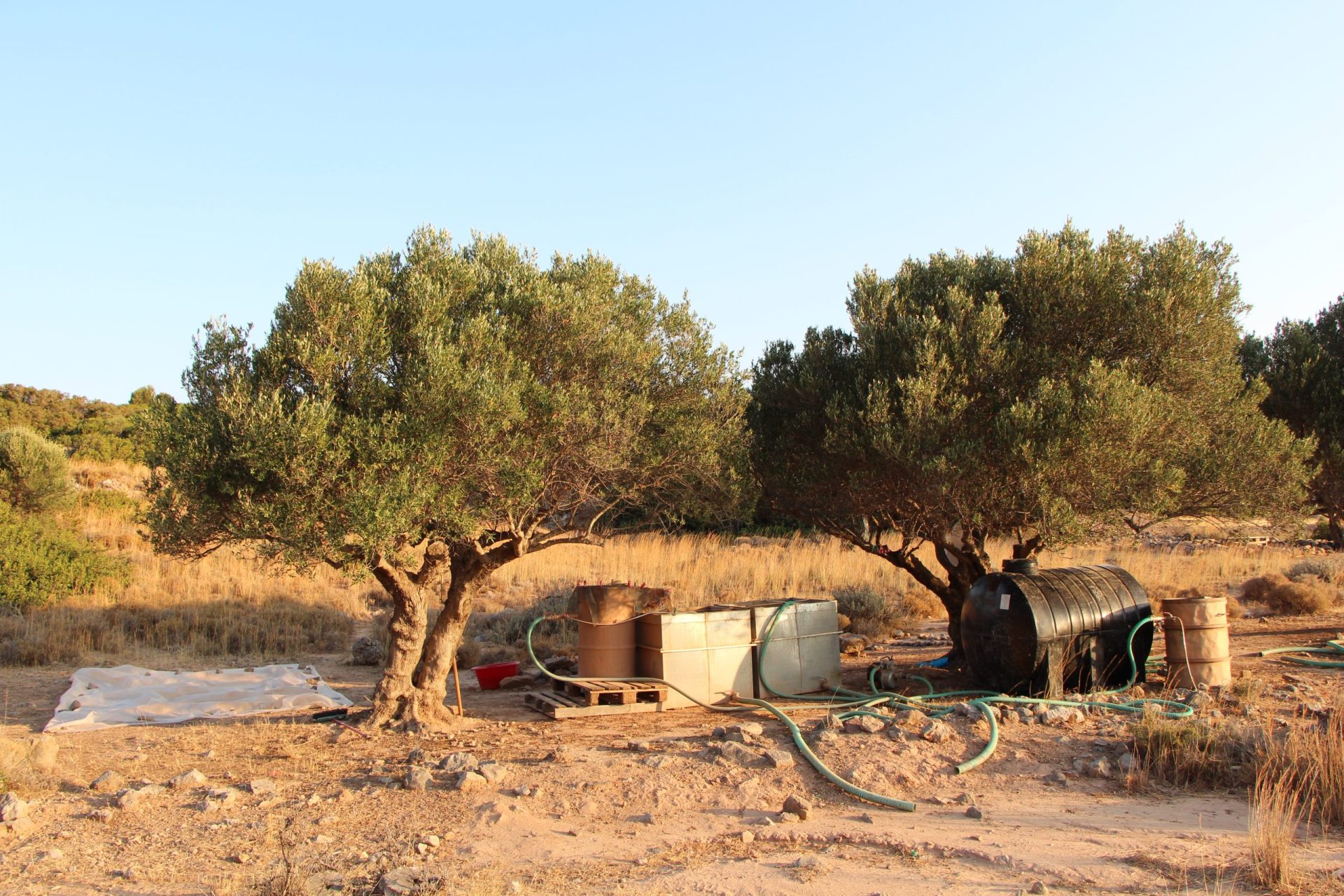 Open Access! Presenting the PALAP dataset: Unraveling Ancient ...