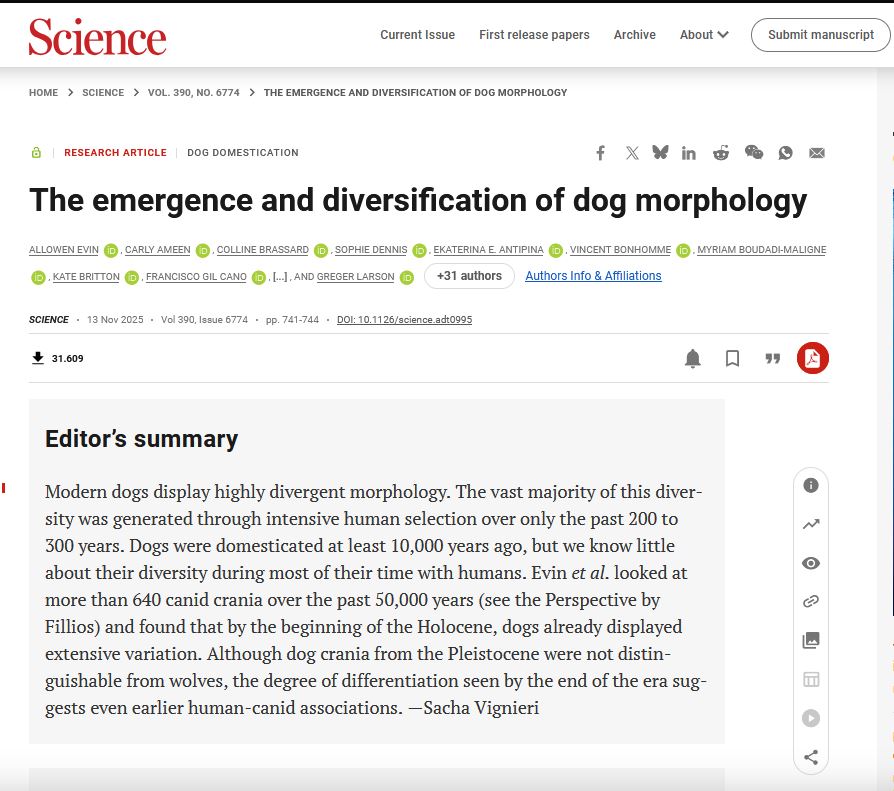 Extensive dog diversity millennia before modern breeding practices ...